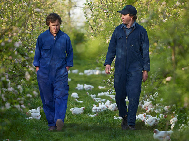 Bostock Brothers Organic Free Range Chicken - Gourmet Direct