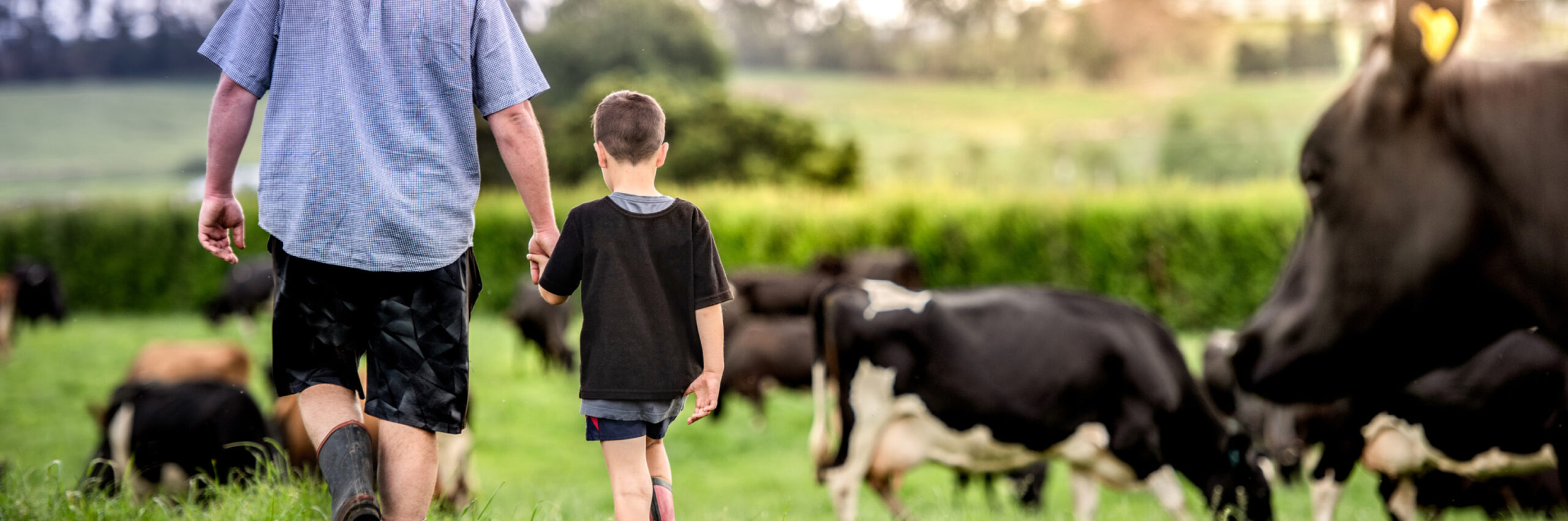 Farm Source Rewards Register - Gourmet Direct